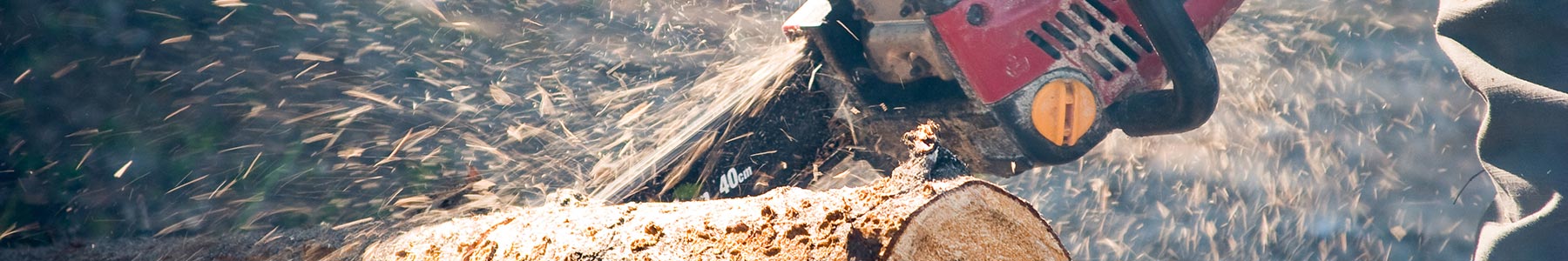 equipment_chainsaws - Magnuson Sod