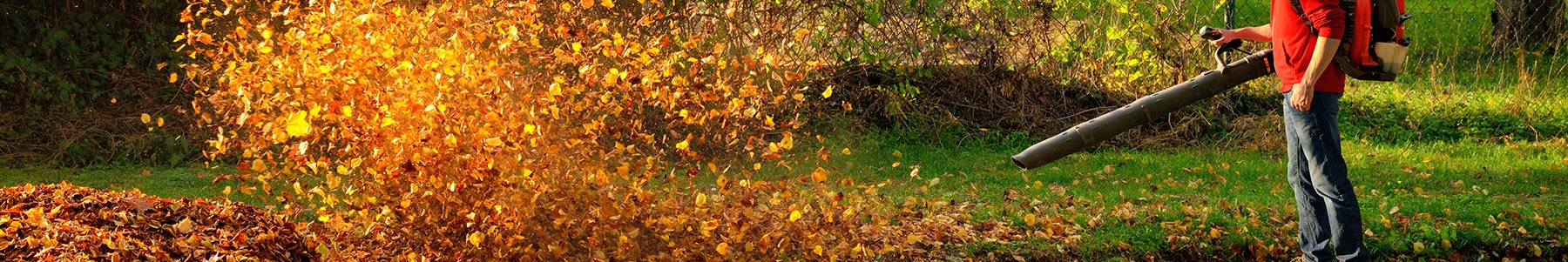equipment_leafblowers - Magnuson Sod