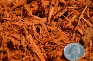 Honey Gold Mulch | Bright Golden Mulch, MN | Magnuson Sod