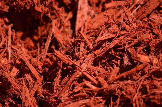 Shredded Ruby Red Mulch | Best-Selling Mulch, MN | Magnuson Sod